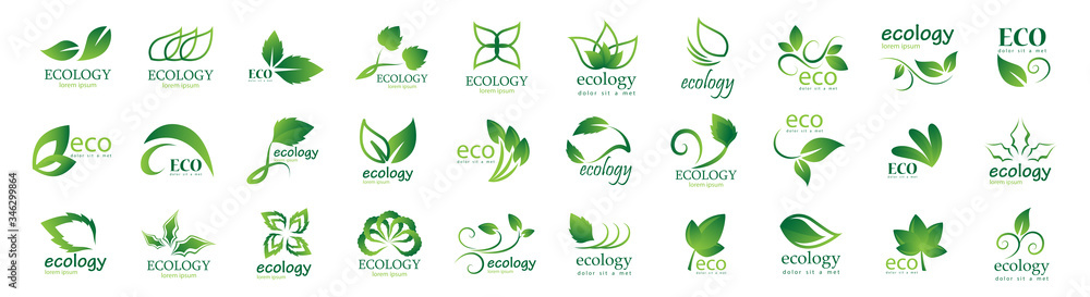 Collection Of Eco And Organic Logo Set - Isolated On White Background ...