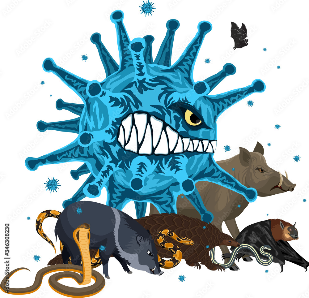 vector angry wild animal with coronavirus infection: pangolin, bat, pig ...