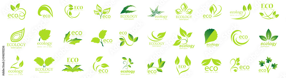 Collection Of Eco And Organic Logo Set - Isolated On White Background ...