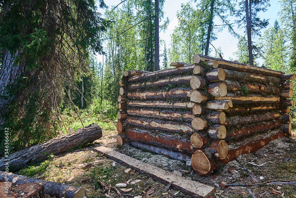 Construction of a taiga house. Winterhouse construction. House in the ...