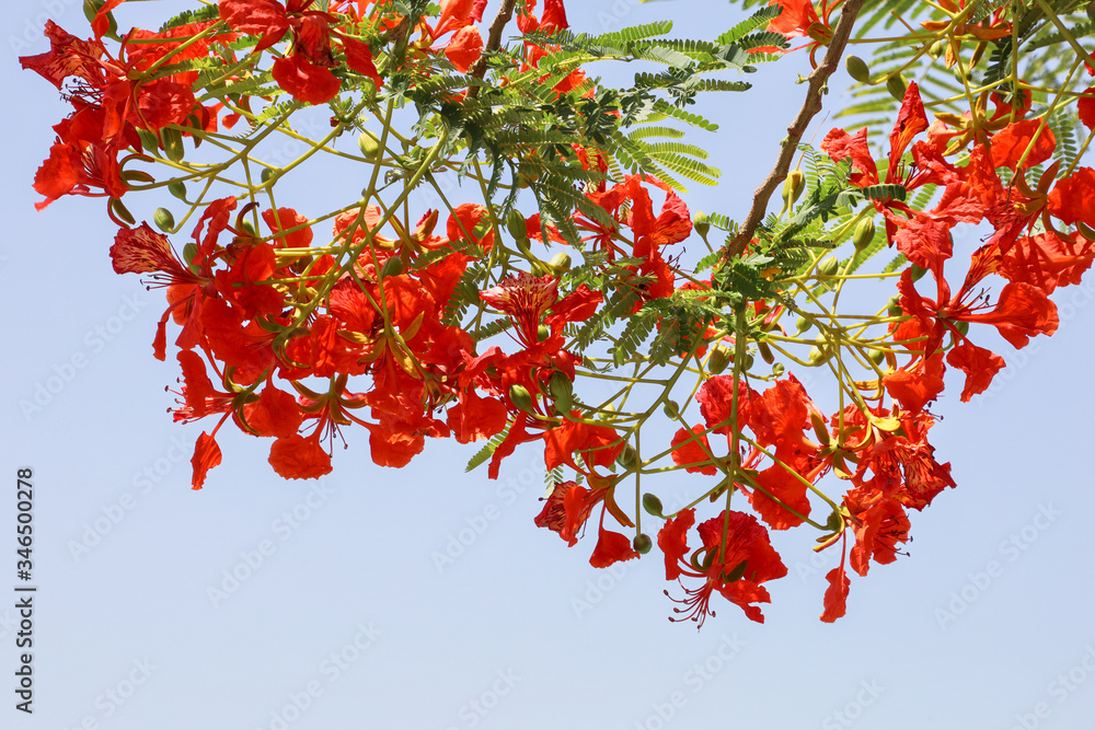 MANDALAY/MYANMAR(BURMA) - 26th Nov, 2019 : Mandalay is a second largest ...