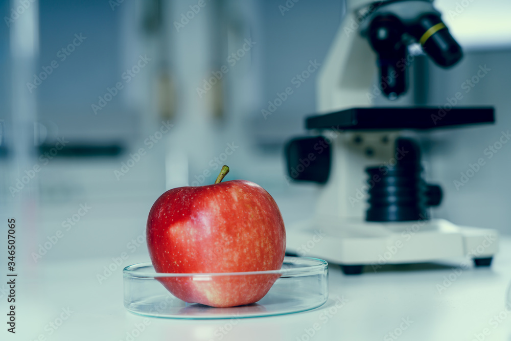 Red Apple to selection in Microbiological laboratory.Chemical ...