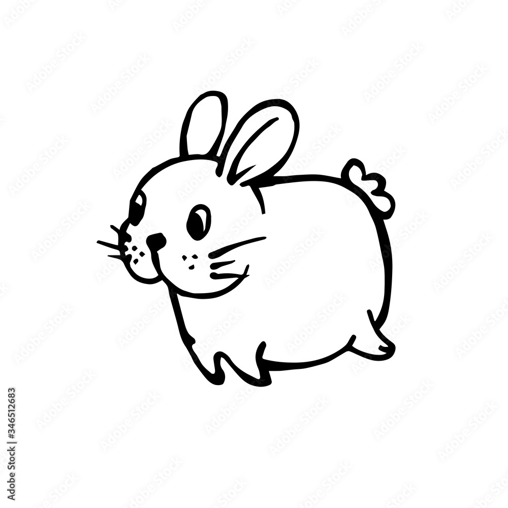 Vector of hand draw or sketch of fatty Bunny, rabbit. Illustration ...
