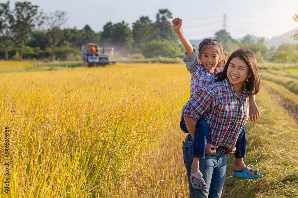 Farmer mother giving daughter piggyback ride at golden-yellow rice ...