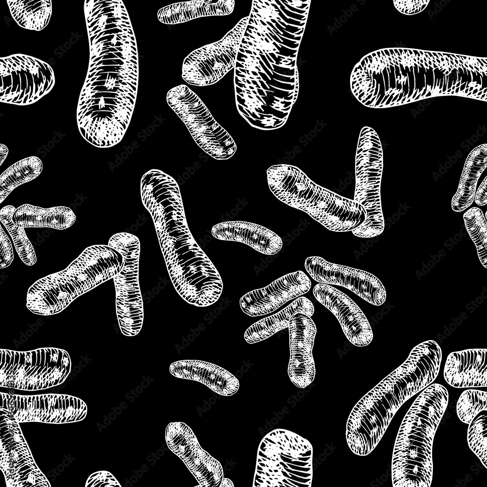 Black and white illustration of Mycobacterium tuberculosis complex ...