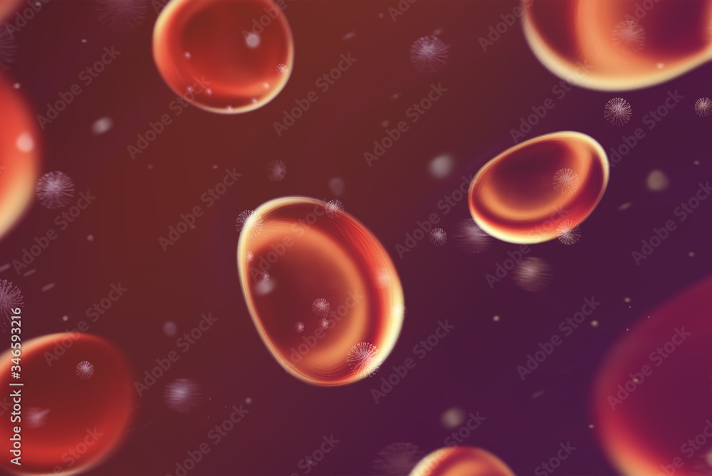 Red blood cells moves in the bloodstream,system inside human blood ...