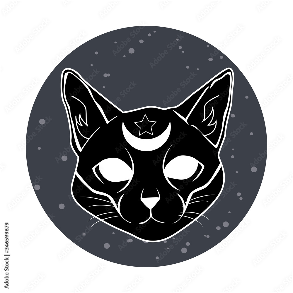 Modern Occult Cat With The Symbol Of The Moon. Gothic Graphics. Wicca ...