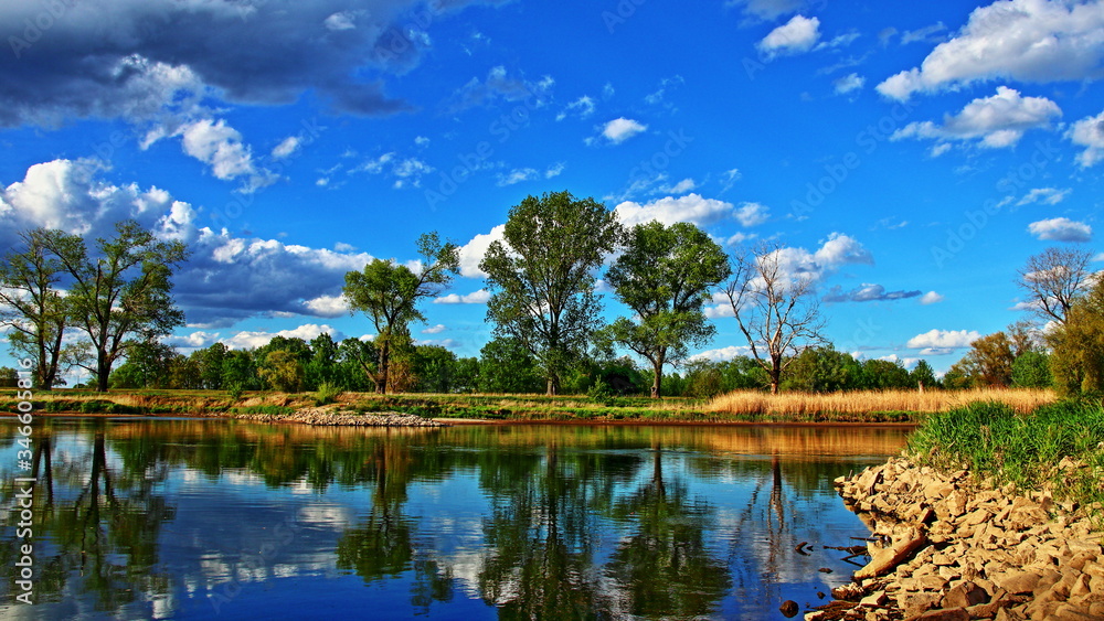 Rzeka odra, drzewa, brzeg rzeki, linia brzegowa, odbicie Stock Photo ...