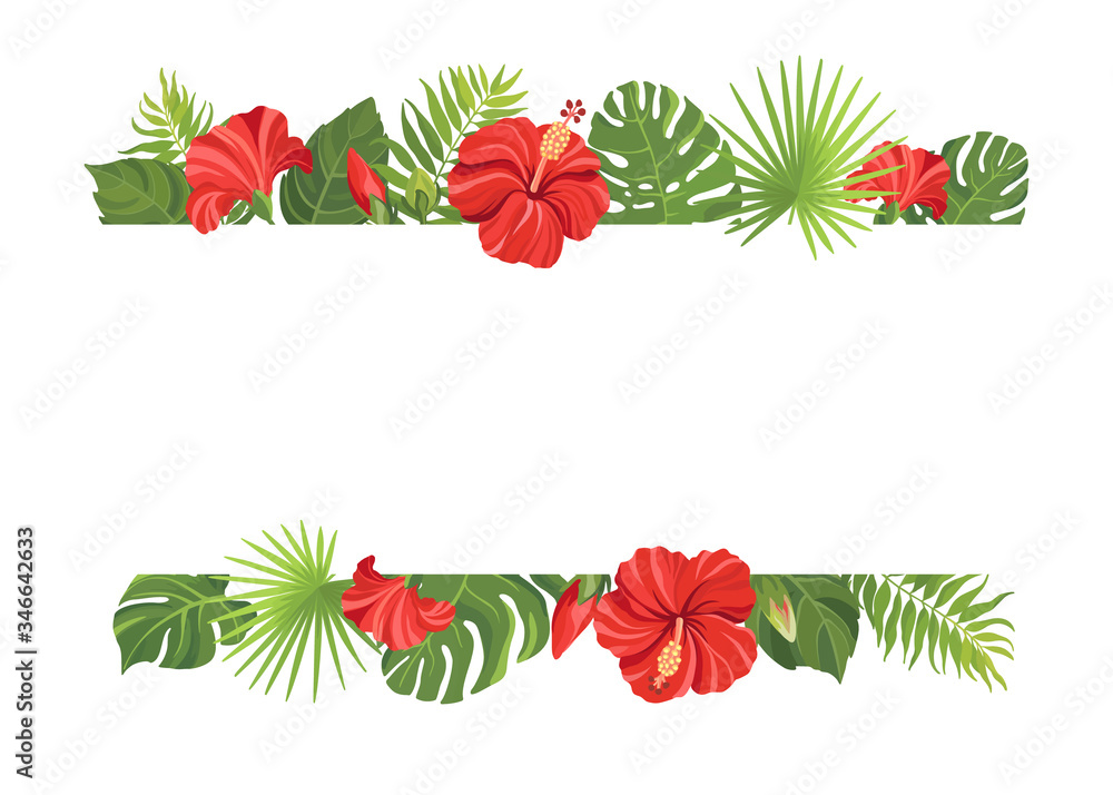 Tropical Flower Border Vector | Best Flower Site