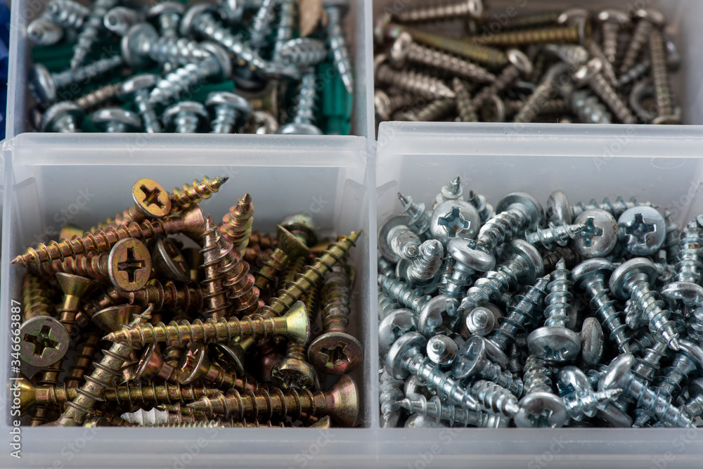 Caja de tornillos con tornillos y taquetes de diferentes tamaños y ...