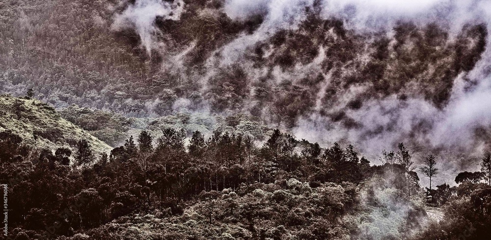 MONSON Stock Photo | Adobe Stock