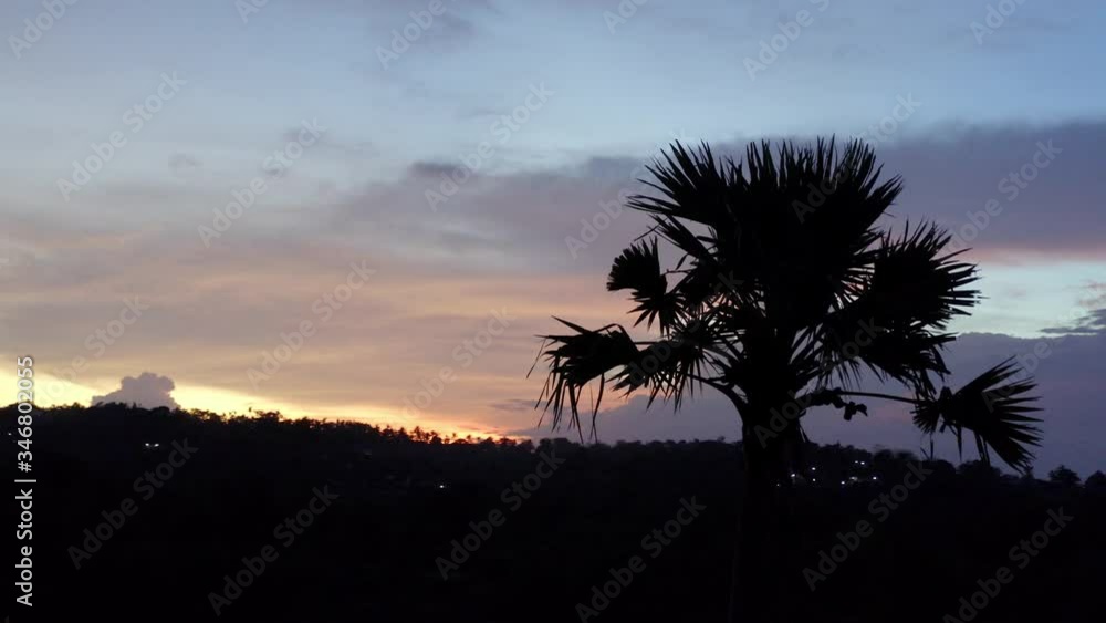 Sunset at Nusa Penida island Indonesia with Sabal palm tree silhouette ...