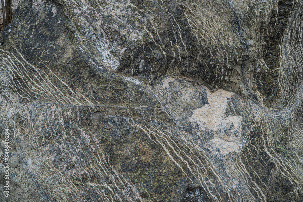 Serpentinite with Chrysotile asbestos ore texture close-up. Contains ...