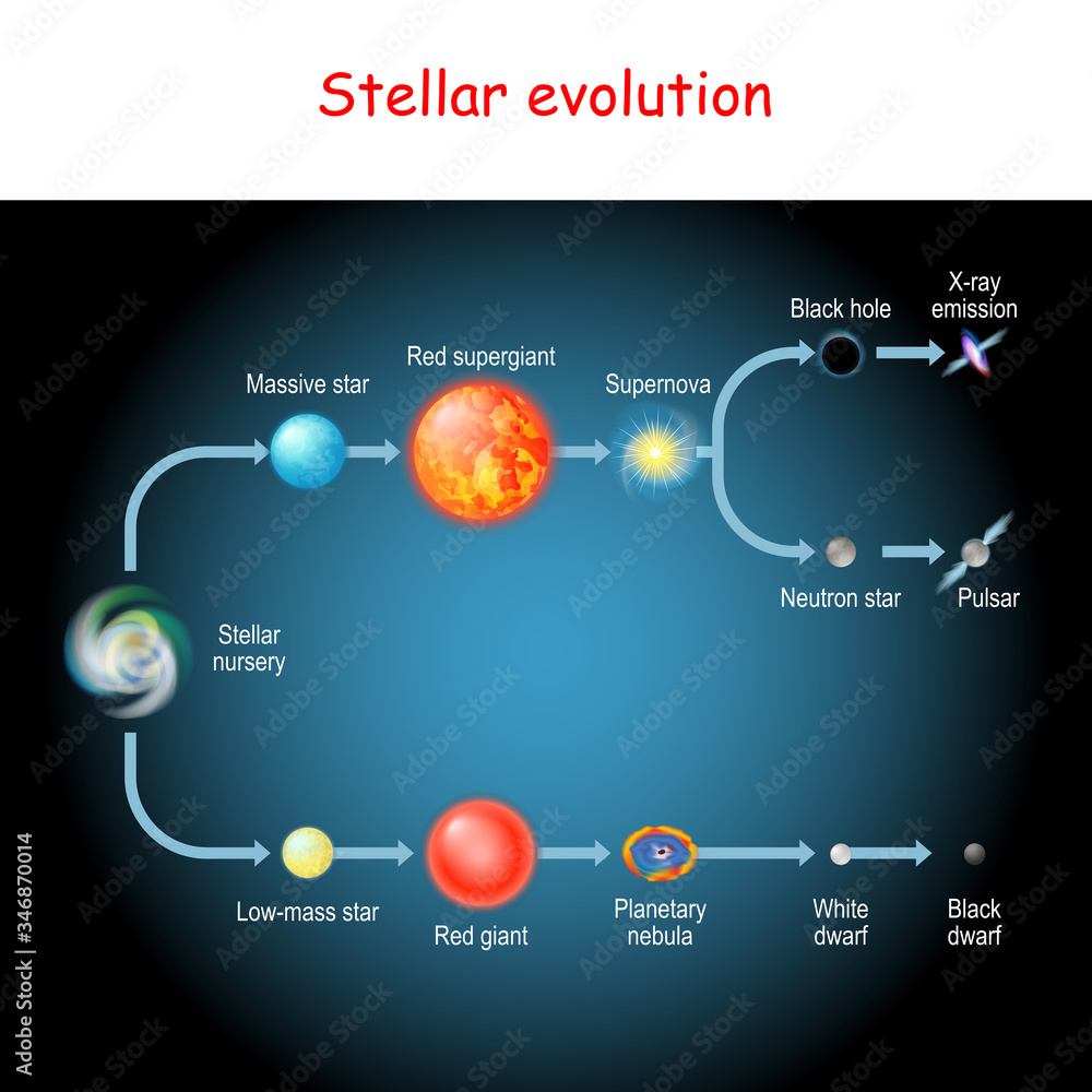 Stellar evolution. Life cycle of a star. Stock Vector | Adobe Stock