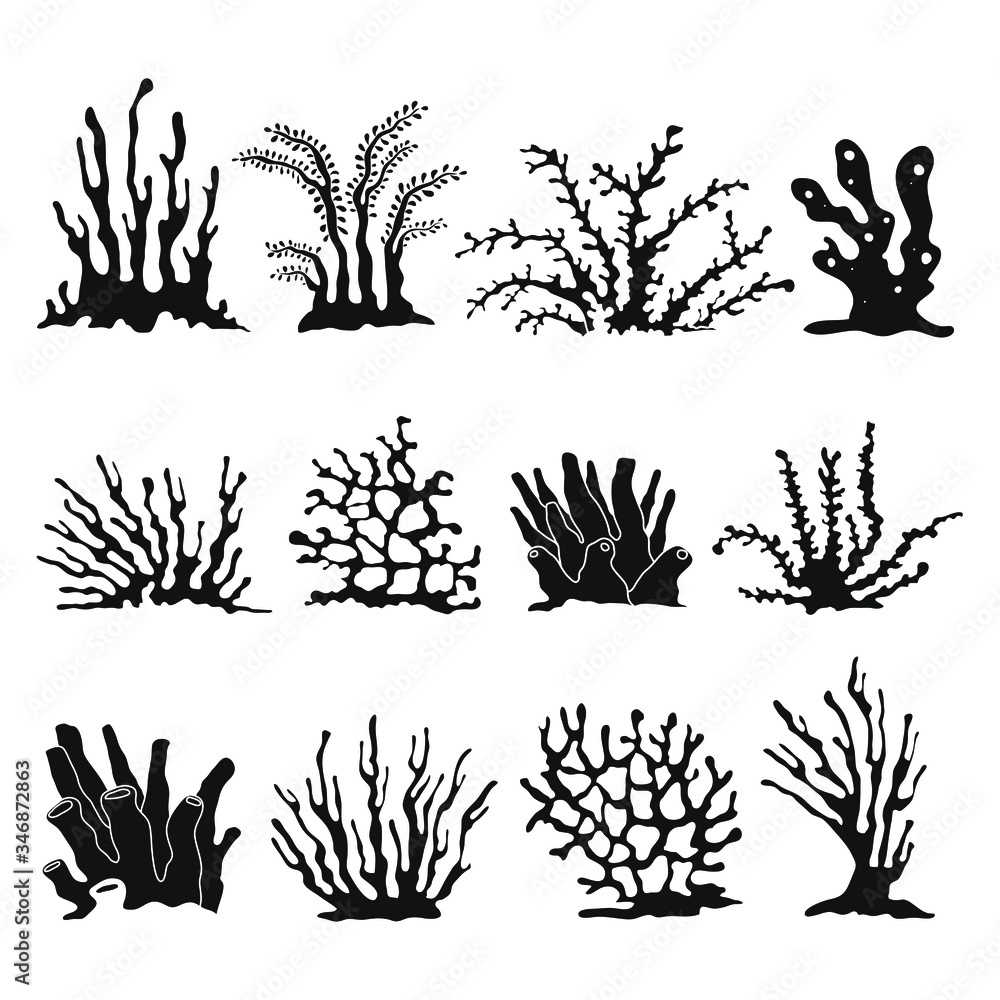 Set of simple coral reef elements isolated on white background. Black ...