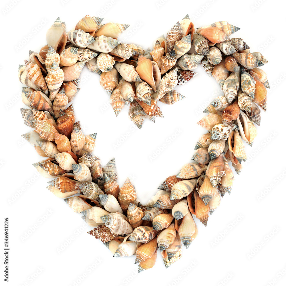 Heart shaped shell wreath on white background with copy space. Romantic ...