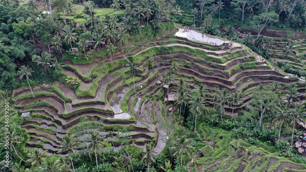 rice terraces - located on vertical terraces of rice fields, mainly in ...