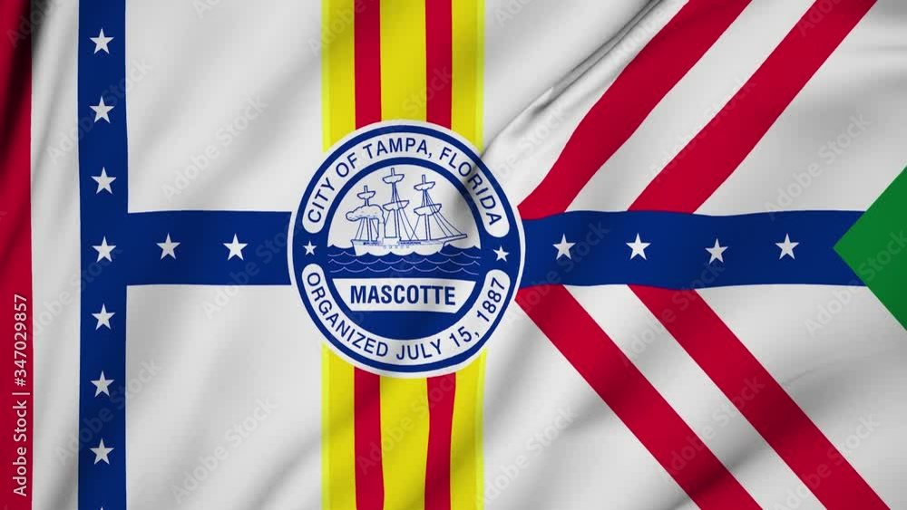 Tampa city of Florida flag is waving 3D animation. Tampa city of ...