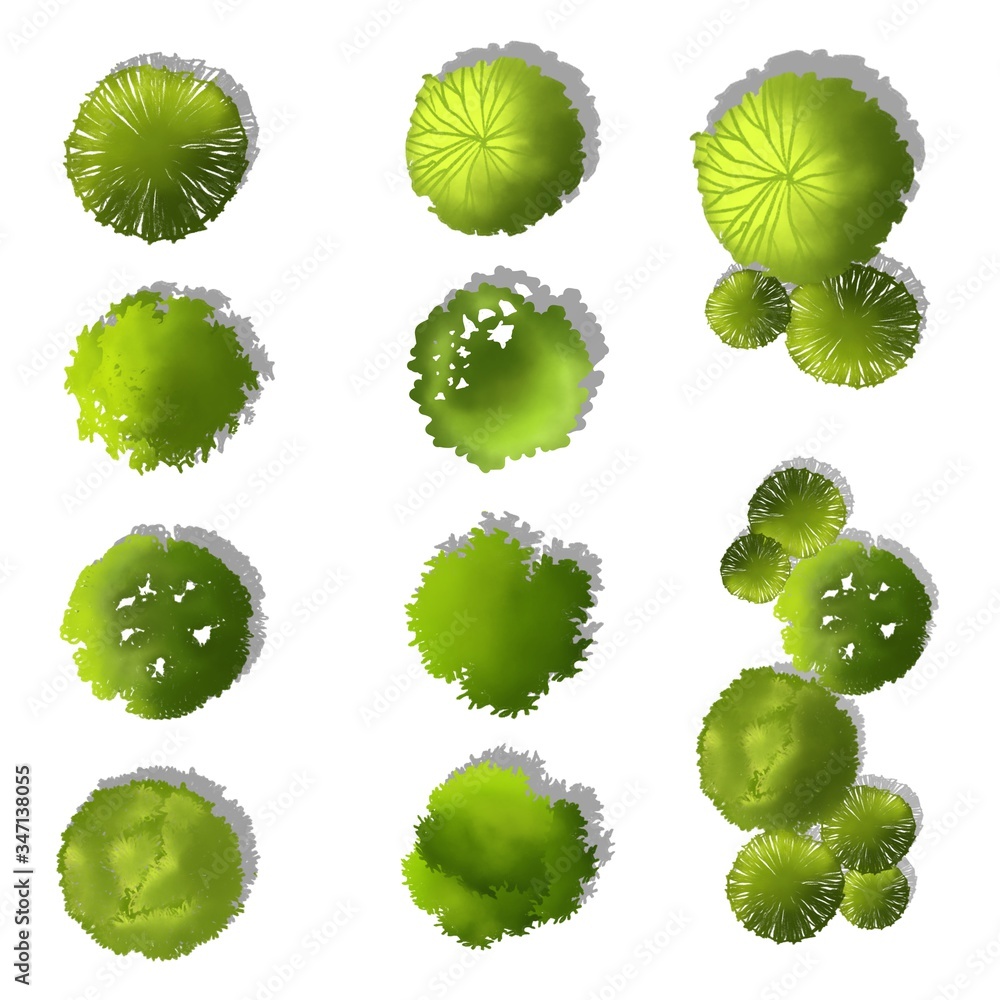 Set of watercolor tree top view for landscape plan and architecture ...