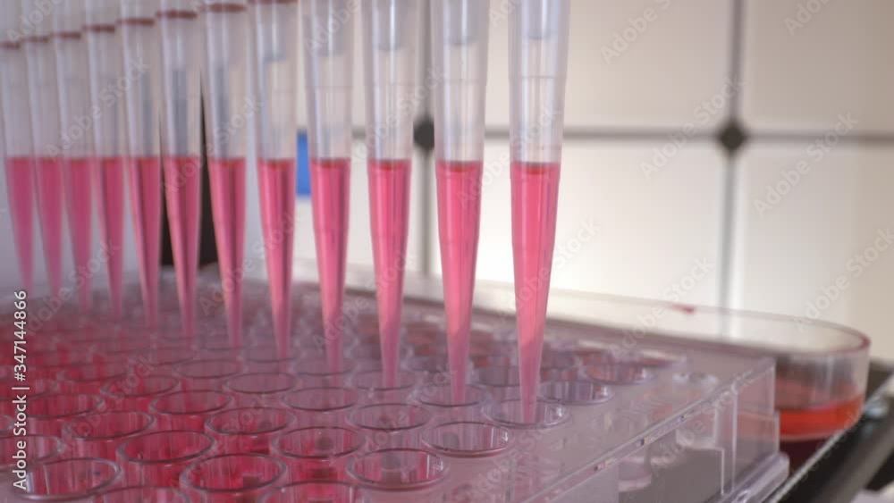 Automatic analysis of DNA or RNA. Automation in the clinical laboratory ...