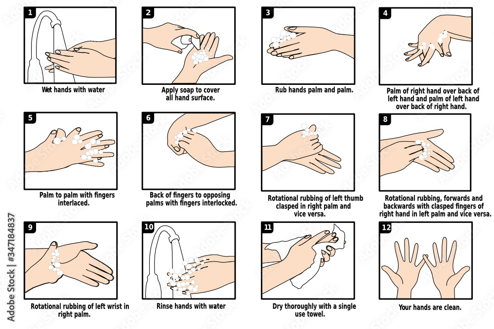 How to wash your hands properly step by step. Personal hygiene ...
