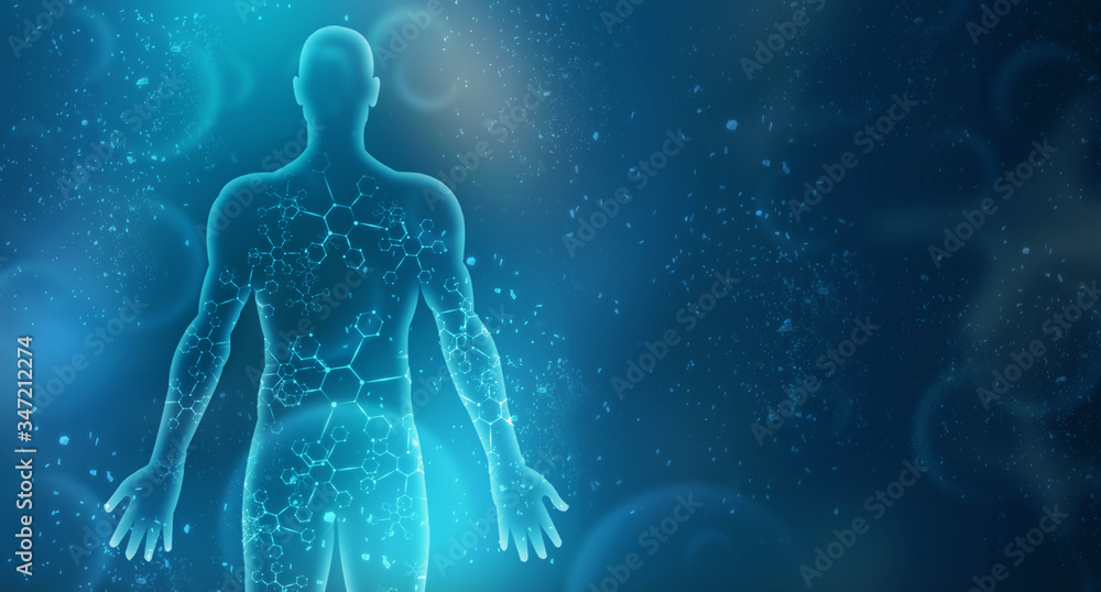 2d illustration Human Male Muscle Body Stock Illustration | Adobe Stock