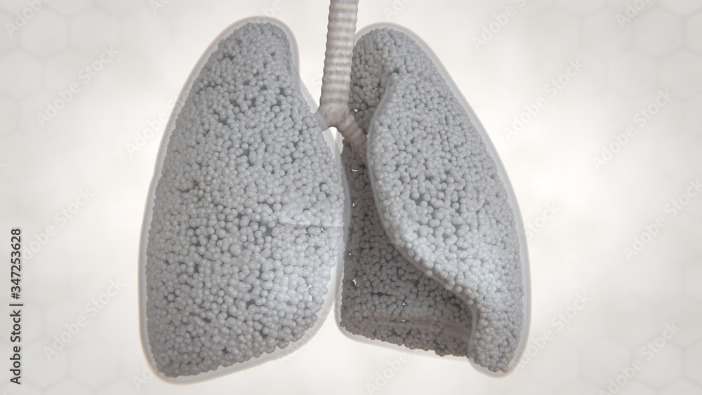 3d illustration of human lung structure.pneumonia.tuberculosis Stock Illustration | Adobe Stock