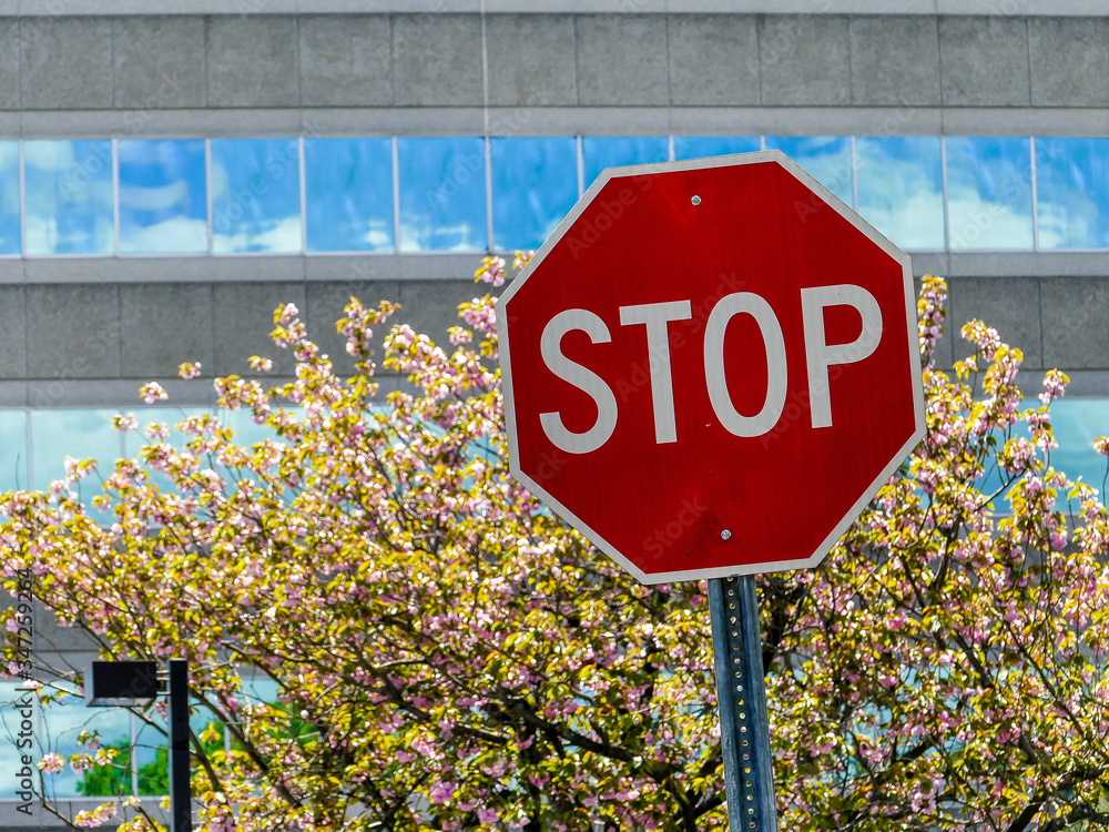 Stop sign with blooming tree and buildg with reflections Stock Photo ...