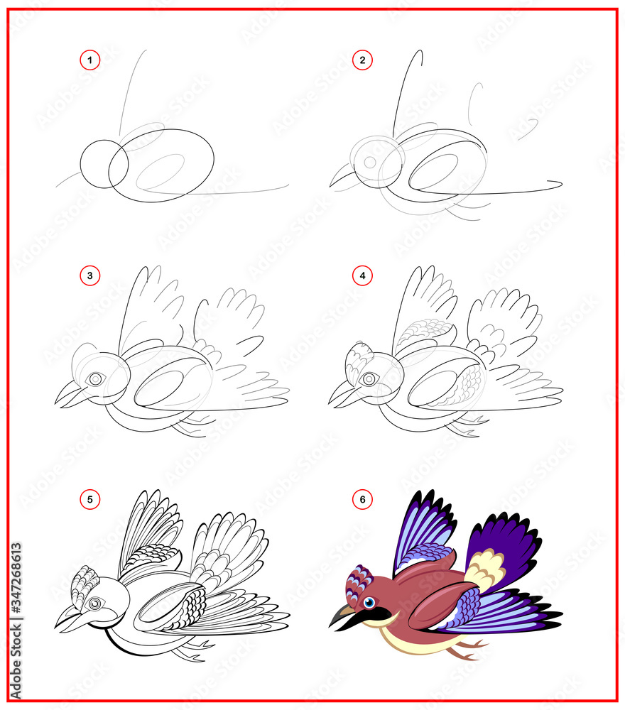 Flying Birds Drawing For Kids