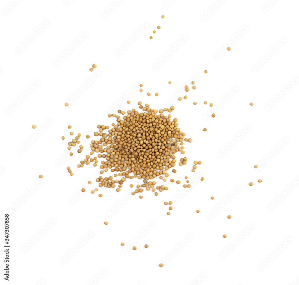 Dry yellow mustard seeds isolated on white background. Macro photo of sinapis alba close up ...