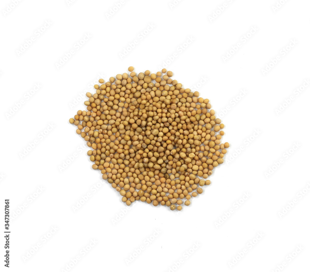 Dry yellow mustard seeds isolated on white background. Macro photo of sinapis alba close up ...