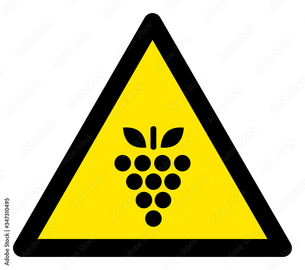 Vector grape flat warning sign. Triangle icon uses black and yellow ...