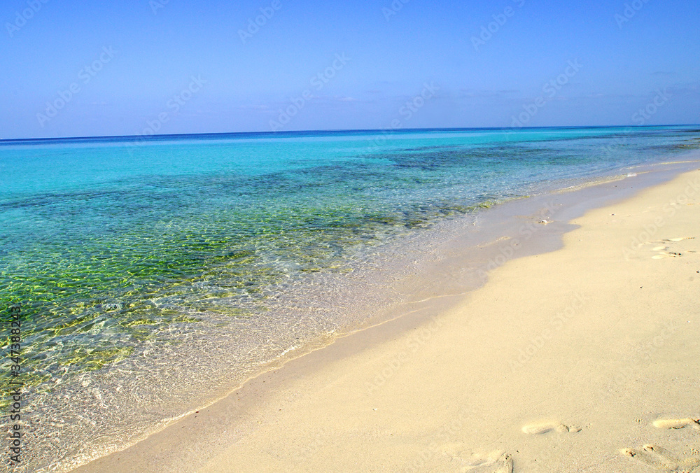 The most beautiful beach named Shuab Beach in Socotra island, Yemen ...