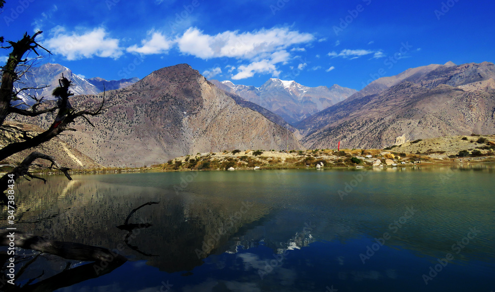 tree on the lake in Dhumba Lake Nepal.Dhumba Lake is a emerald green ...