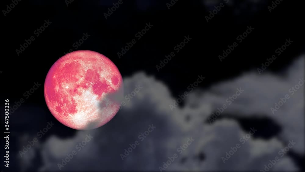 full pink moon back on night sky and blur cloud moving pass Stock Video ...