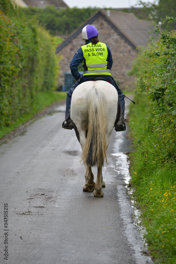 Horse rider moving away from camera along country lane , the rider ...