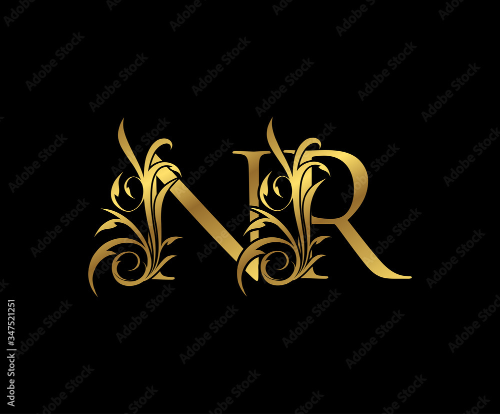 Luxury Gold N, R and NR Letter Classy Floral Logo Icon. Vintage drawn ...
