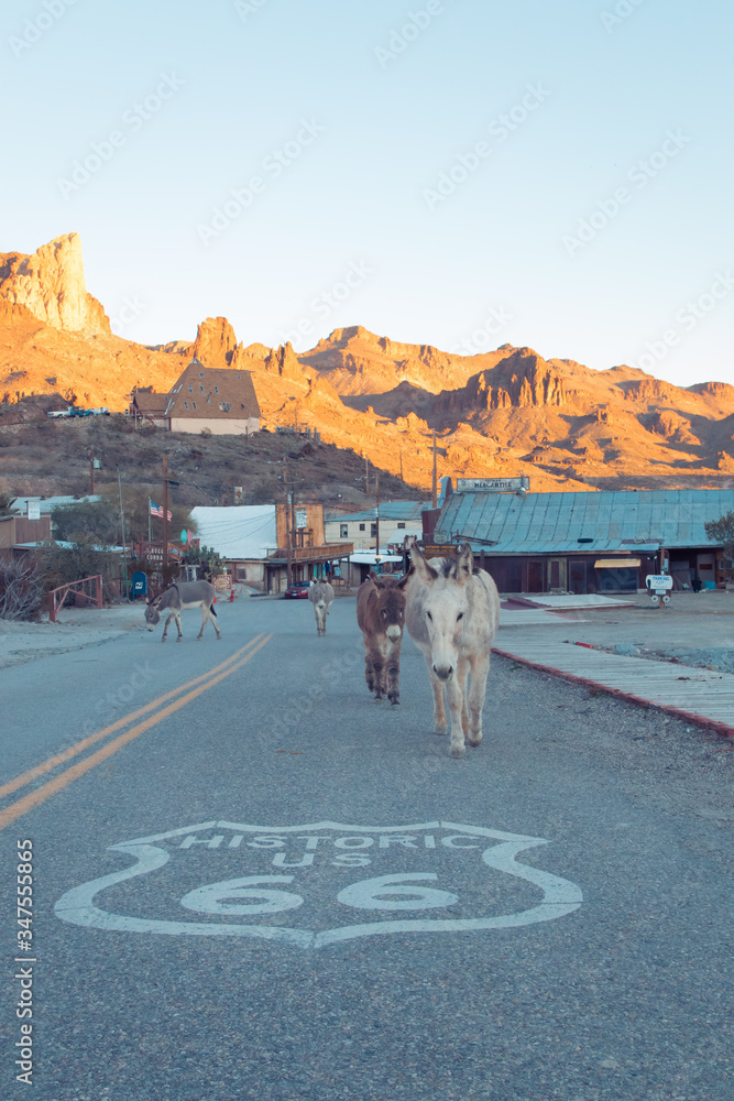 Route 66 - verfallenes Auto - altes historisches Auto Stock Photo ...