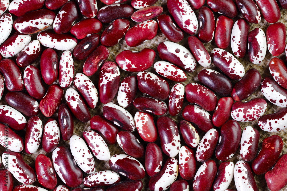 Bright beans close-up. Food background. Background texture of red bean ...
