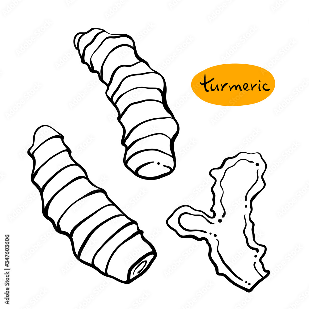 Turmeric, curcuma. Roots and slices. Black line sketch collection of ...