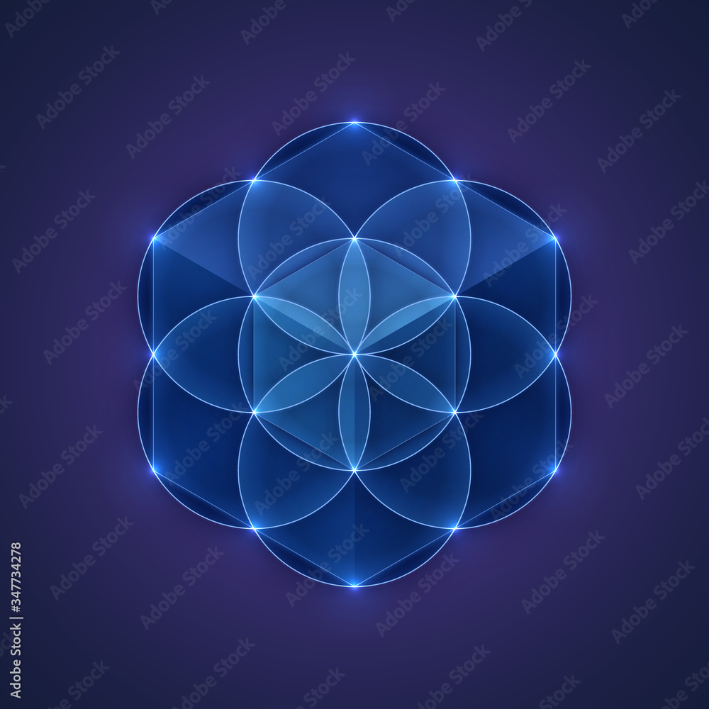 Sacred geometry, seed of life. Vector illustration. Stock Vector ...