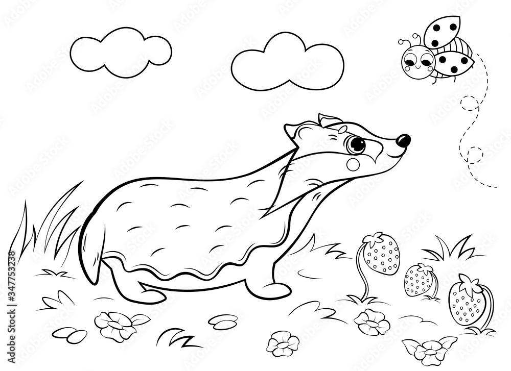 Coloring page outline of cute cartoon badger. Vector image with nature ...