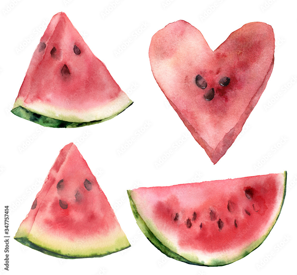 Set of watercolor watermelon. Hand painted fruit slices isolated on ...