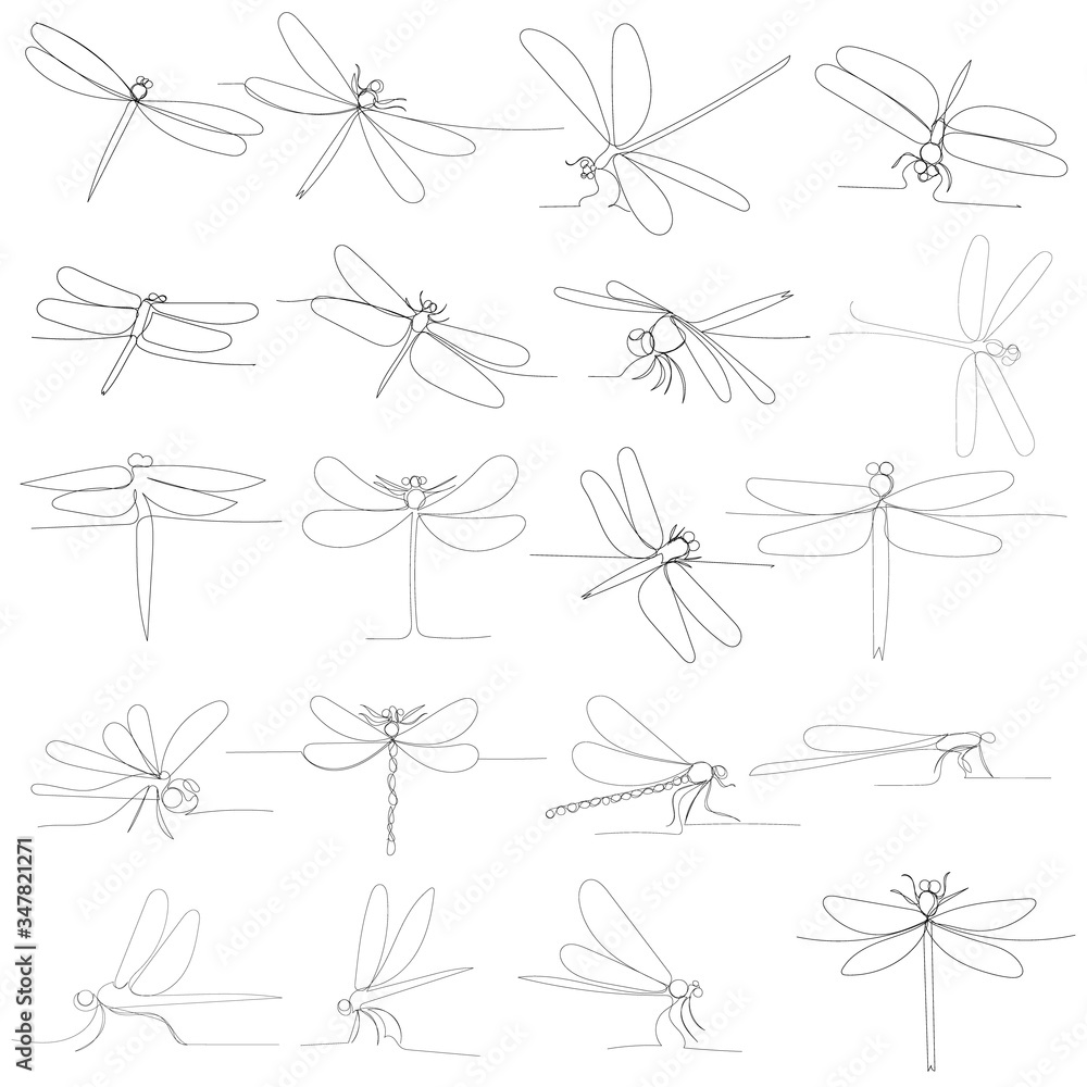 vector, isolated, dragonfly continuous line drawing, set Stock Vector ...