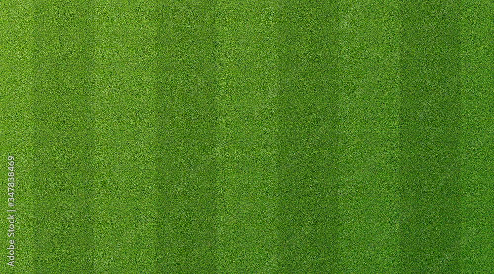 Green grass texture for sport background. Detailed pattern of green ...