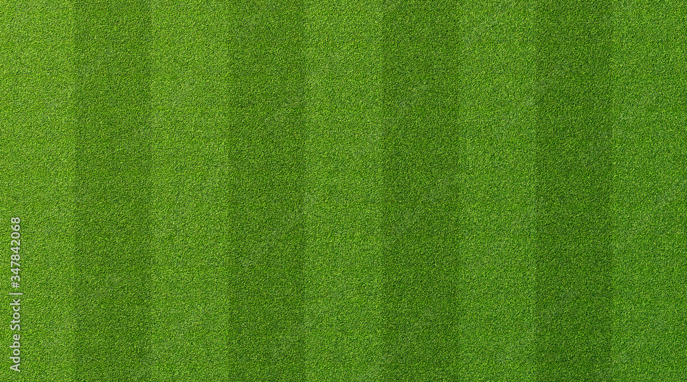 Green grass texture for sport background. Detailed pattern of green ...