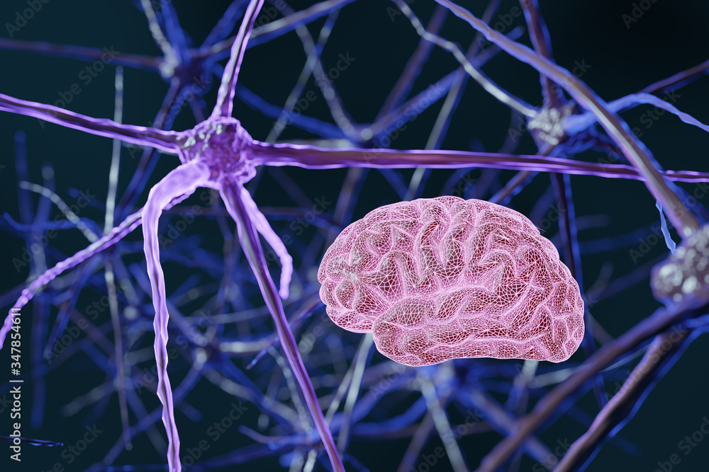 Abstract brain neuron cells with link knots. Synapse and neuron cells ...
