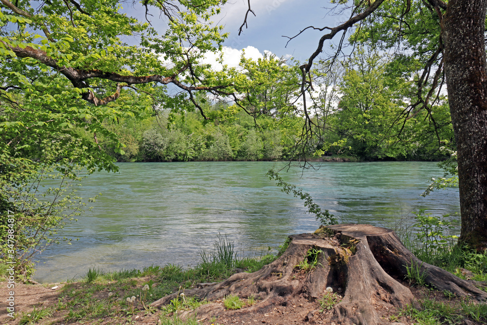 Aare bei Belp, Bern, Schweiz Stock Photo | Adobe Stock