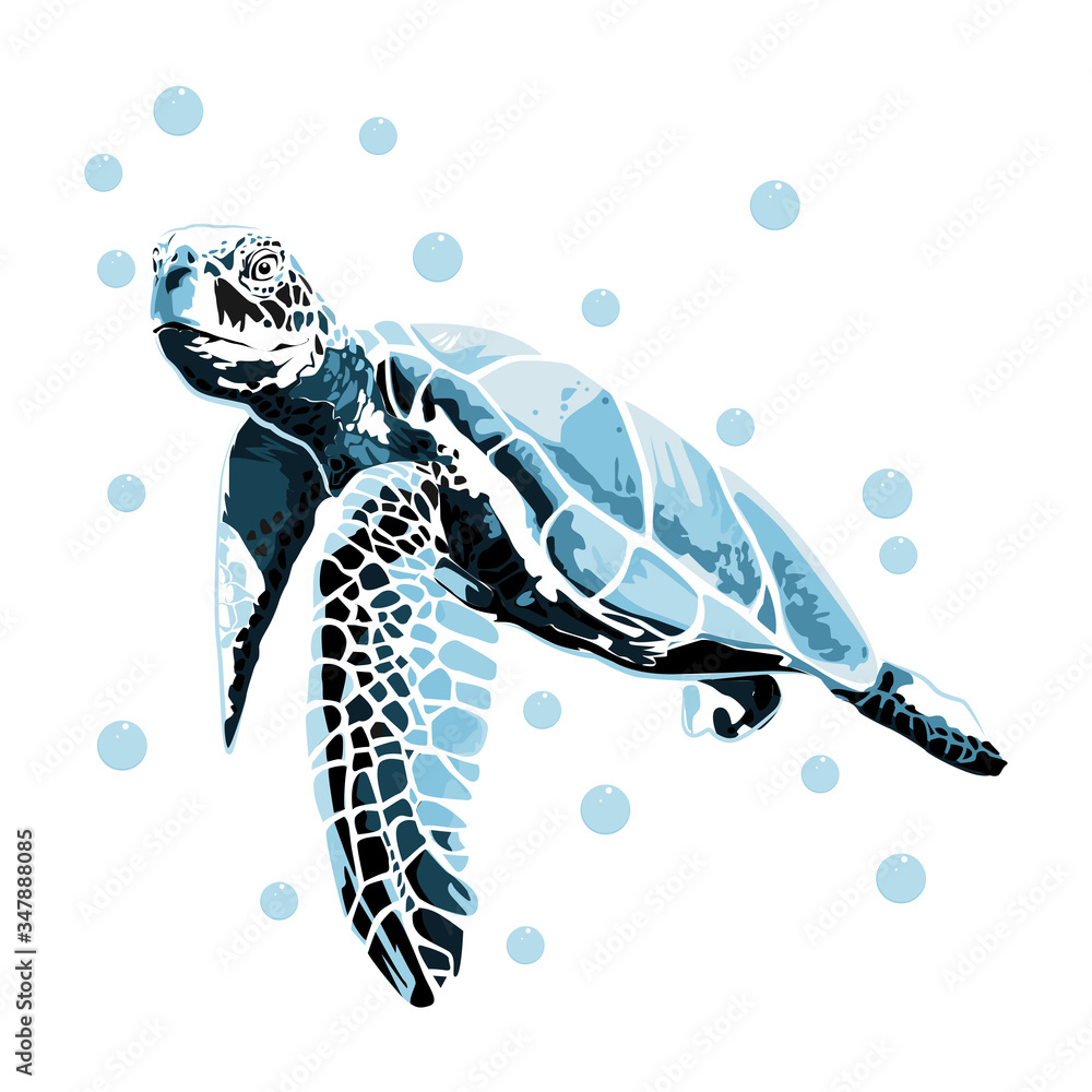 graphic sea turtle,vector illustration of sea turtle,vector of turtle ...
