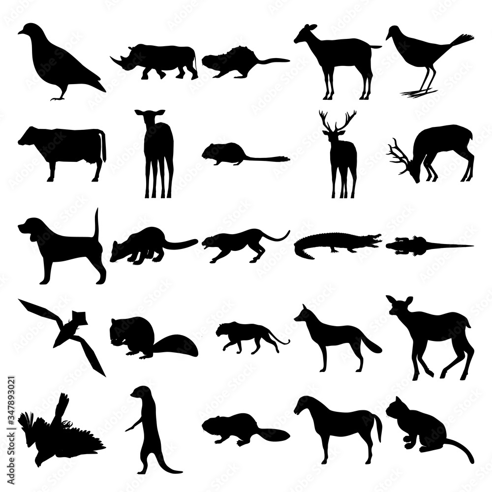 Set of 25 animals. Dove, Rhinoceros, Beaver, Deer, Bird, Cow, Mouse ...